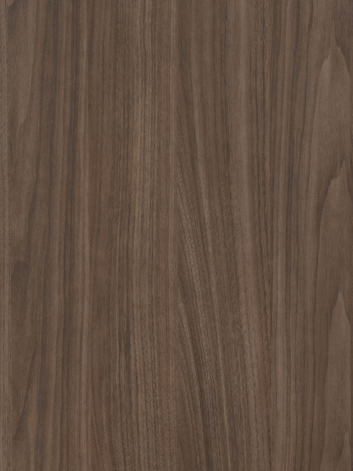 Cleaf Panel LS14 19MM ACERNO | Advanced Hardware Supply